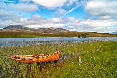 Insh Island | Natureflip