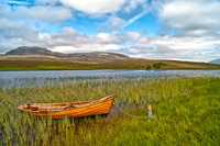 Insh Island | Natureflip