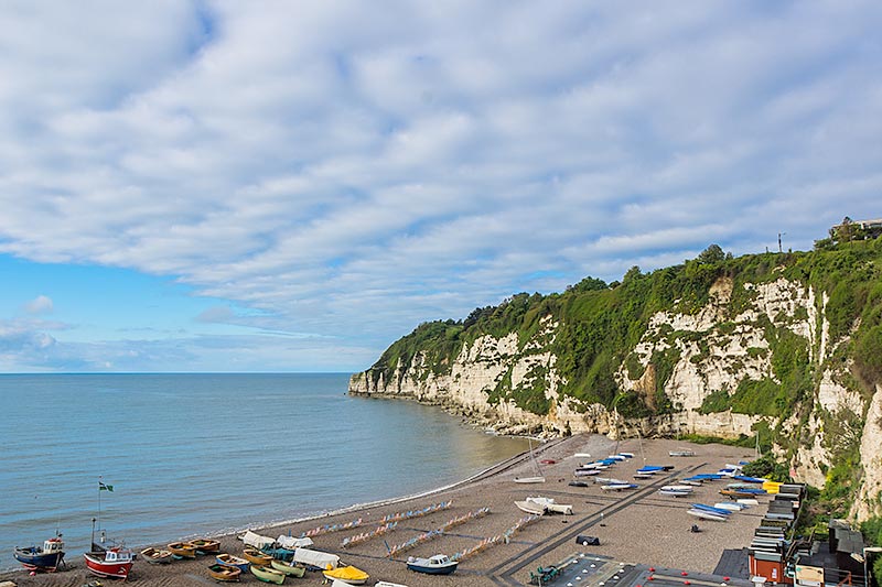 Beer Beach | Natureflip